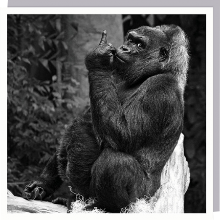 Sweary Gorilla - Malarkey Cards